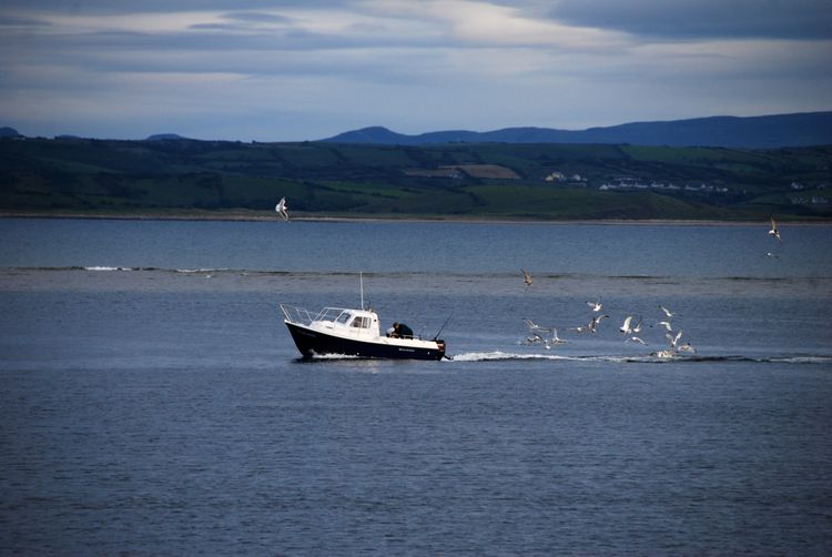 Mystery solved after Donegal boat theft turns out to be drifting ...
