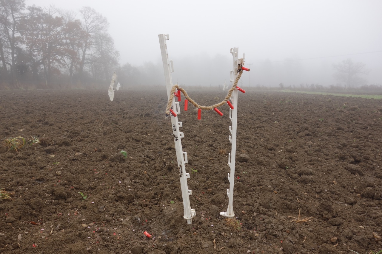 Council urges restraint and consideration in the use of crow bangers ...