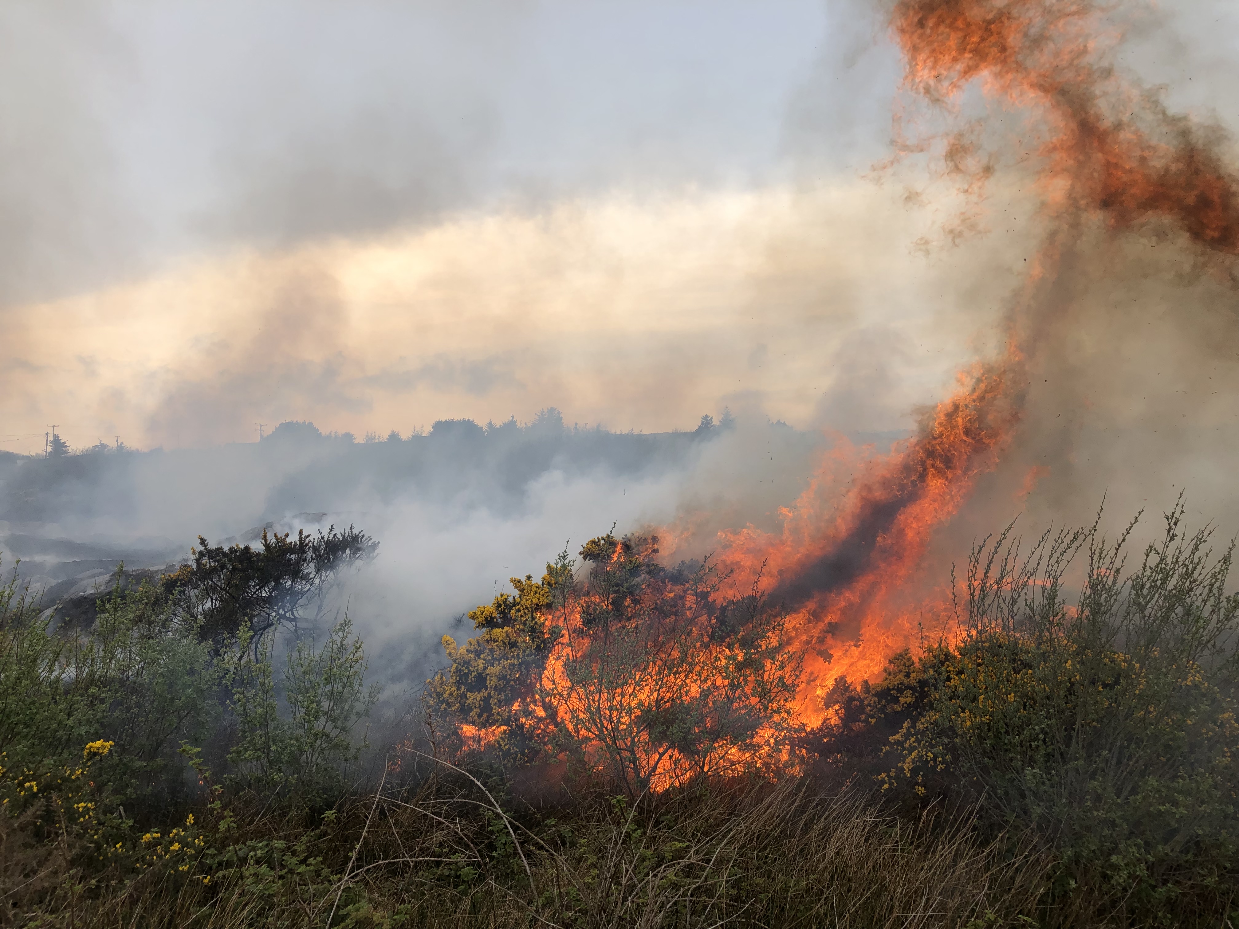 Major gorse fire threatens homes in West Donegal - Highland Radio ...